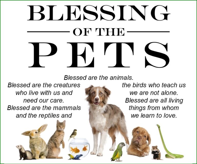 Blessing of the Pets - Greencastle Presbyterian Church | Greencastle ...